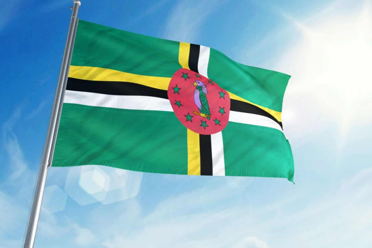 Dominica approves Payment System and Services Bill 2026 to modernise ...